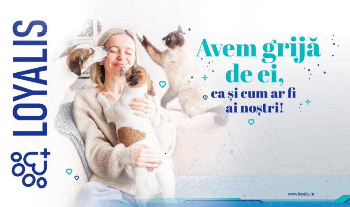 Farmavet - Brandurile noastre